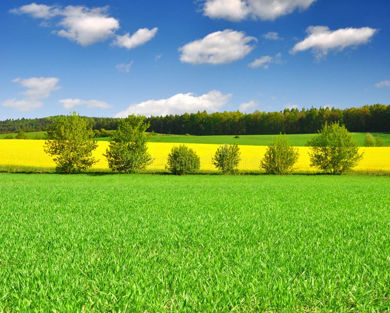 Spring landscape stock image. Image of farm, conservation - 30020347