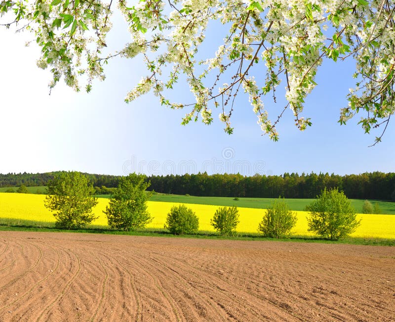 Spring landscape stock image. Image of environment, season - 23415165