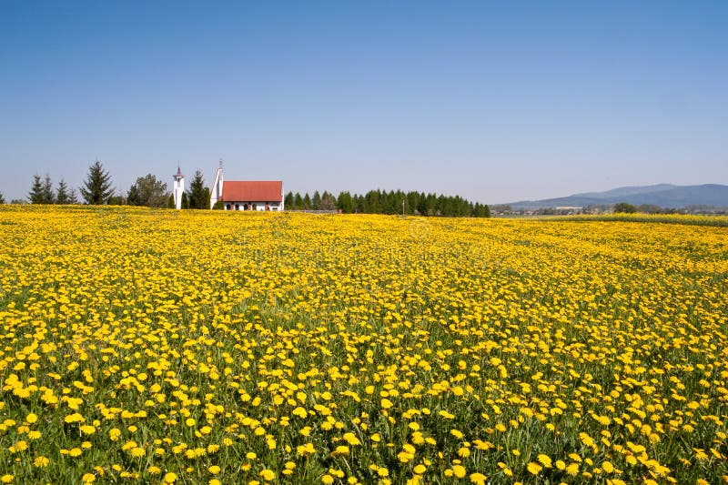 Spring landscape stock image. Image of springtime, seasonal - 24619917
