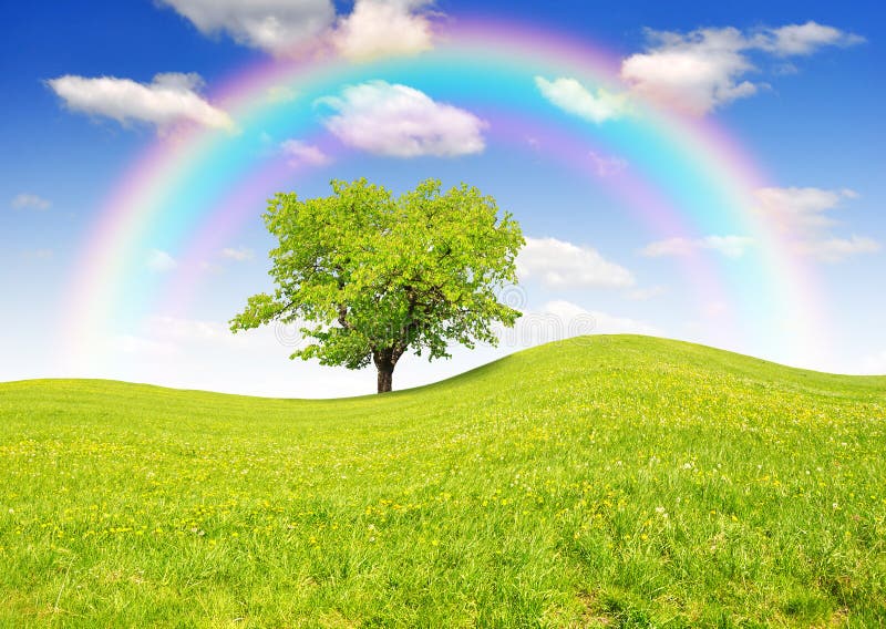 Rainbow Day stock photo. Image of beauty, clouds, climate - 6138954