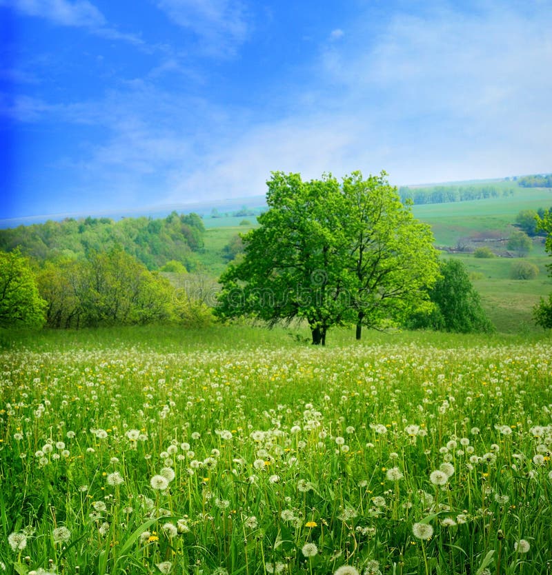 Spring landscape stock photo. Image of environment, lilac - 30504008