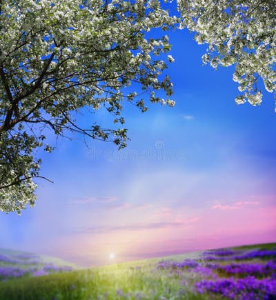 Spring landscape stock image. Image of freshness, flower - 37616067