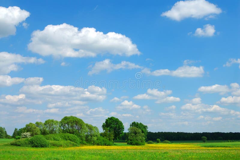 Summer Landscape with Clouds Stock Image - Image of plant, trees: 21133561