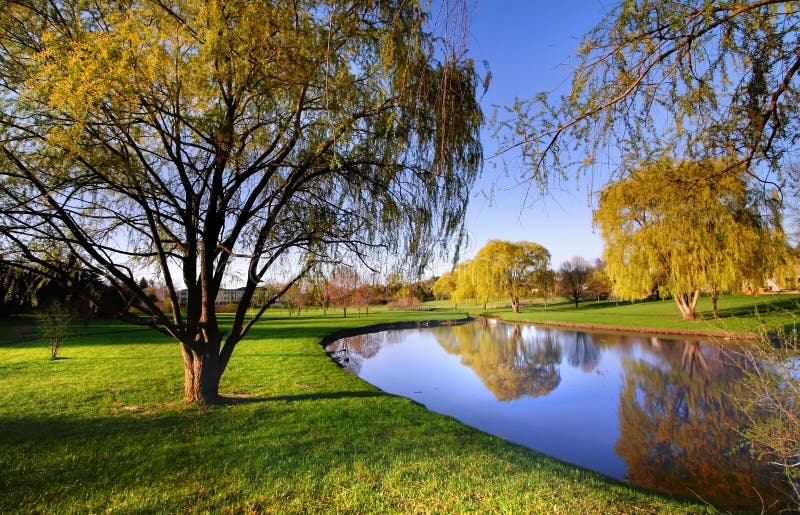 Calm Water stock photo. Image of cloudless, pond, dappled - 1937600