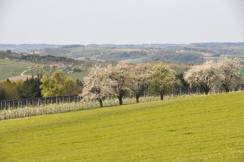 Spring Landscape in Austria Stock Image - Image of austria, meadows ...