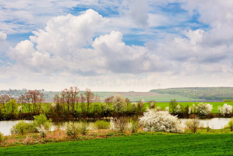 Spring Landscape with Forest Near the River, the First Spring Greenery ...