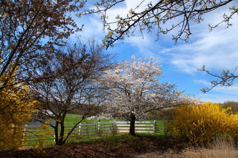 Spring landscape stock photo. Image of clouds, fence - 40749760