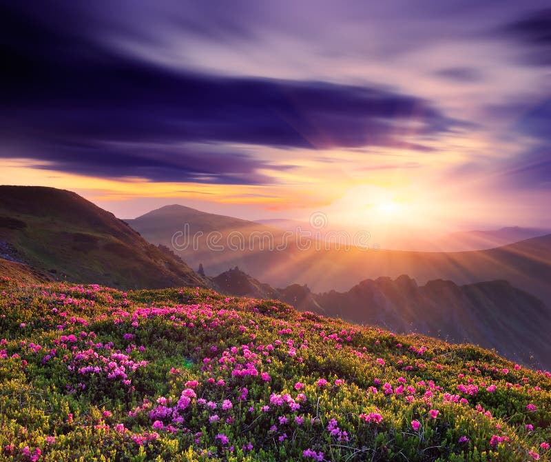 Beautiful Sunset in the Spring in the Mountains Stock Image - Image of ...