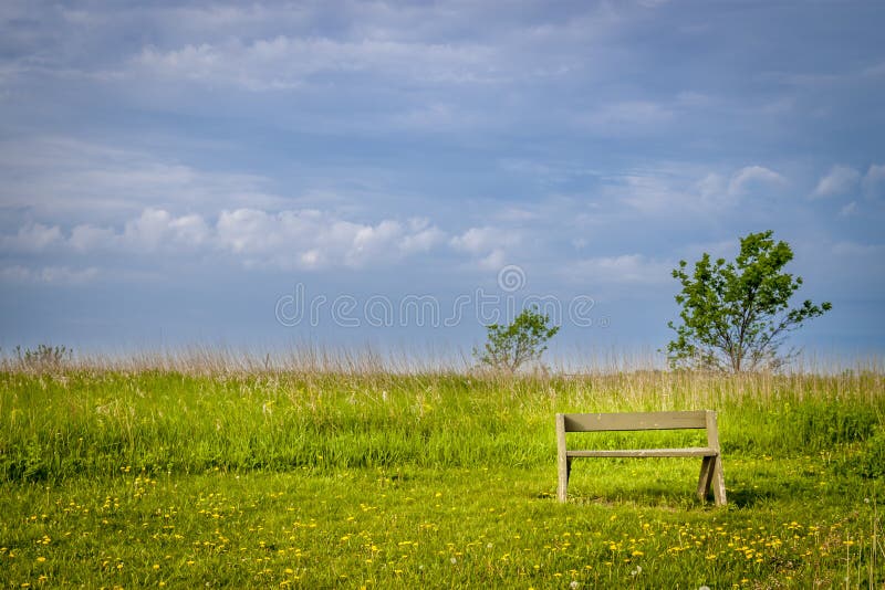 Spring Landscape with Bench Stock Image - Image of morning, light: 41124599