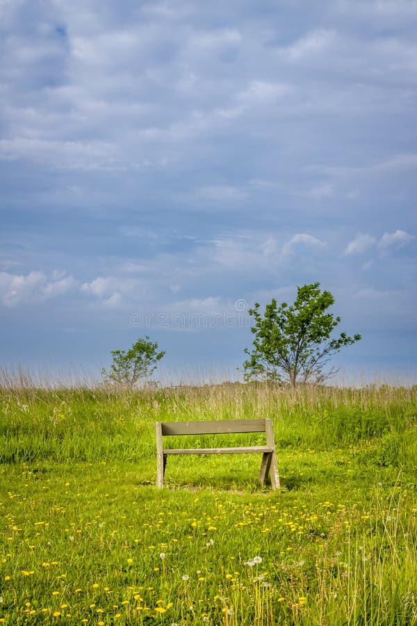 Spring Landscape with Bench Stock Photo - Image of nelson, land: 41124742