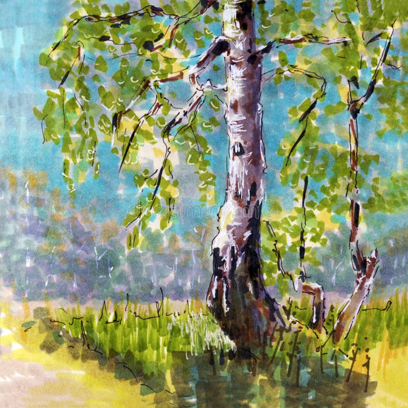 Birch Tree at the Edge of the Forest. Drawing with Markers. Handmade ...