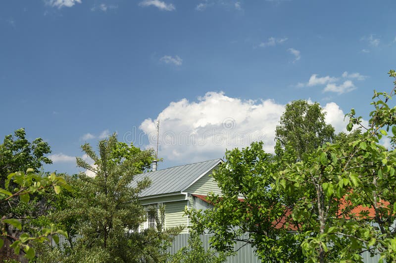 Spring Landscape with Blossom Tree in Rural Garden Stock Photo - Image ...
