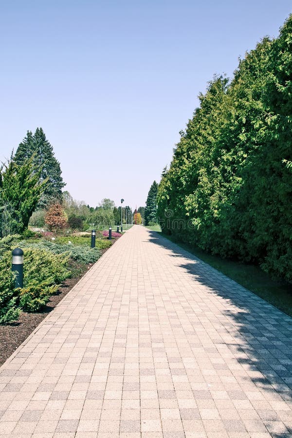 Spring Landscape in Botanical Garden Stock Photo - Image of grass ...