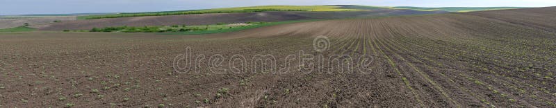 Spring Landscape in Bulgaria. Stock Image - Image of bulgaria, hill ...