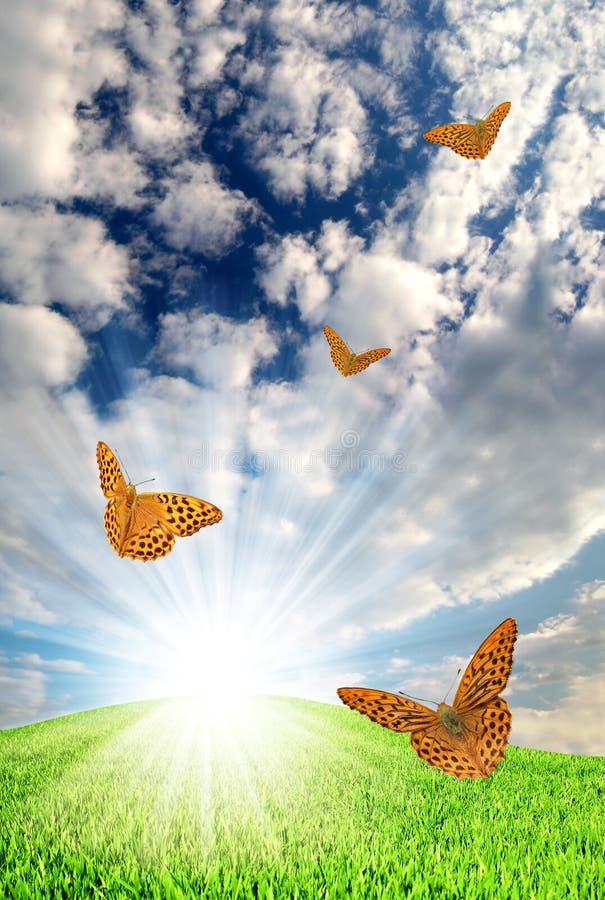 Spring Landscape with Butterfly Stock Photo - Image of country ...