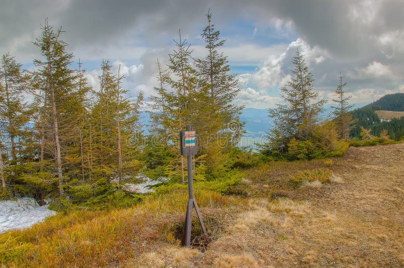 Spring Landscape in the Carpathian Mountains. Point of Rest Stock Image ...