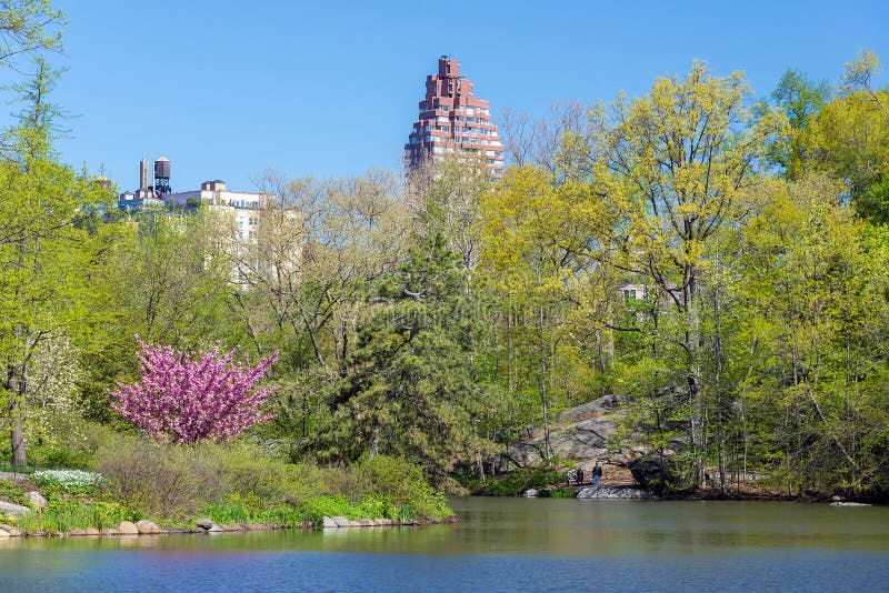 Spring Landscape in the Central Park, New York, USA Stock Photo - Image ...