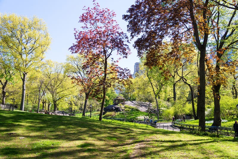 Spring Landscape in the Central Park, New York, USA Stock Image - Image ...