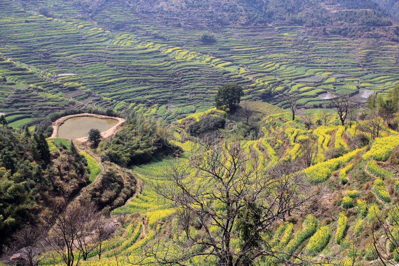 Spring landscape China stock photo. Image of beautiful - 38854684
