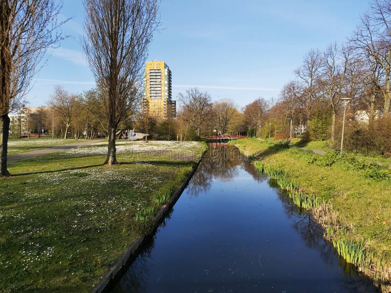 Spring Landscape in the City Park. Stock Photo - Image of bare, natural ...