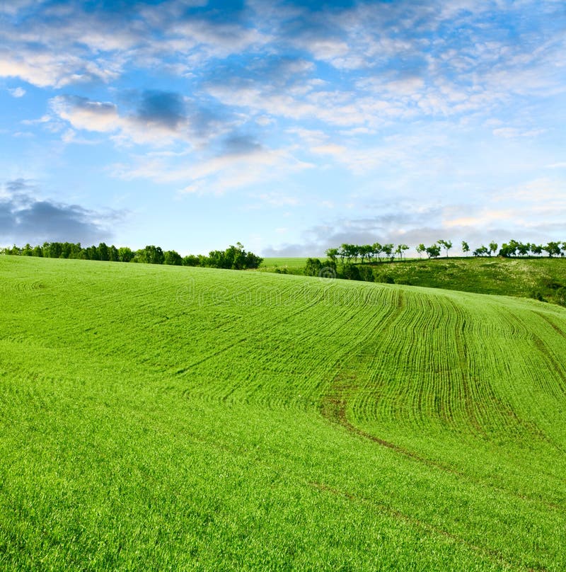 Spring Landscape and Cloudy Sky Stock Photo - Image of nature, heavens ...