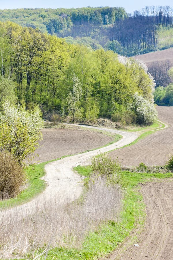 Spring Landscape, Czech Republic Stock Photo - Image of southern ...