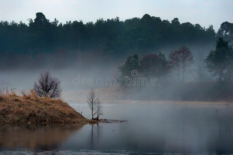 Spring Landscape at Dawn of Lake in Fog Stock Photo - Image of serene ...