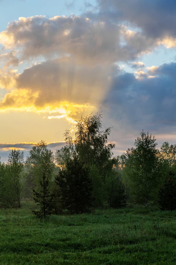Spring landscape at dawn stock photo. Image of dawn, green - 94955004
