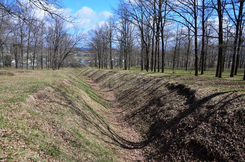 Spring Landscape with a Deep Ravine Filled with Fallen Leaves ...