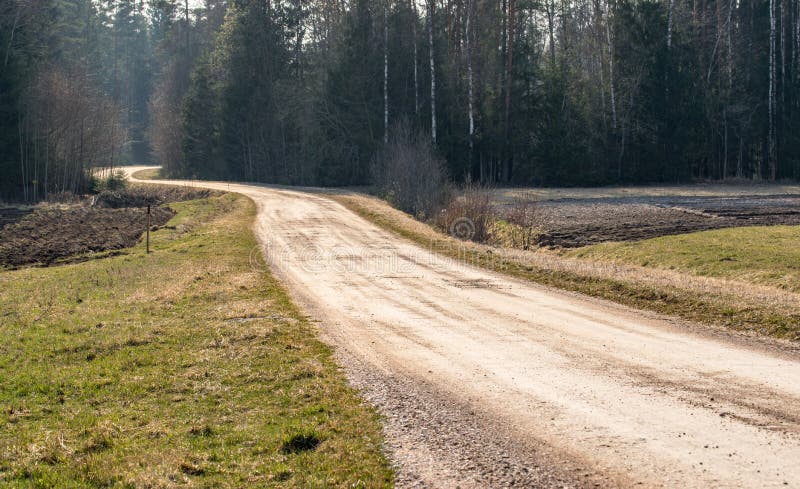 Spring Landscape. Dirt Road Leading To the Forest Stock Image - Image ...