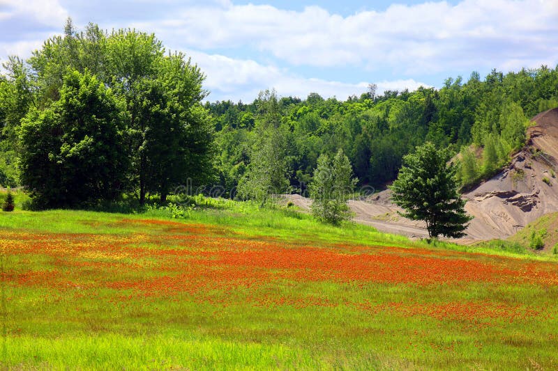 Spring Landscape Eastern Township Quebec Stock Photo - Image of eastern ...