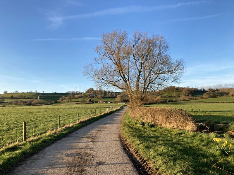 Country Lane in English Spring Landscape Stock Photo - Image of farm ...