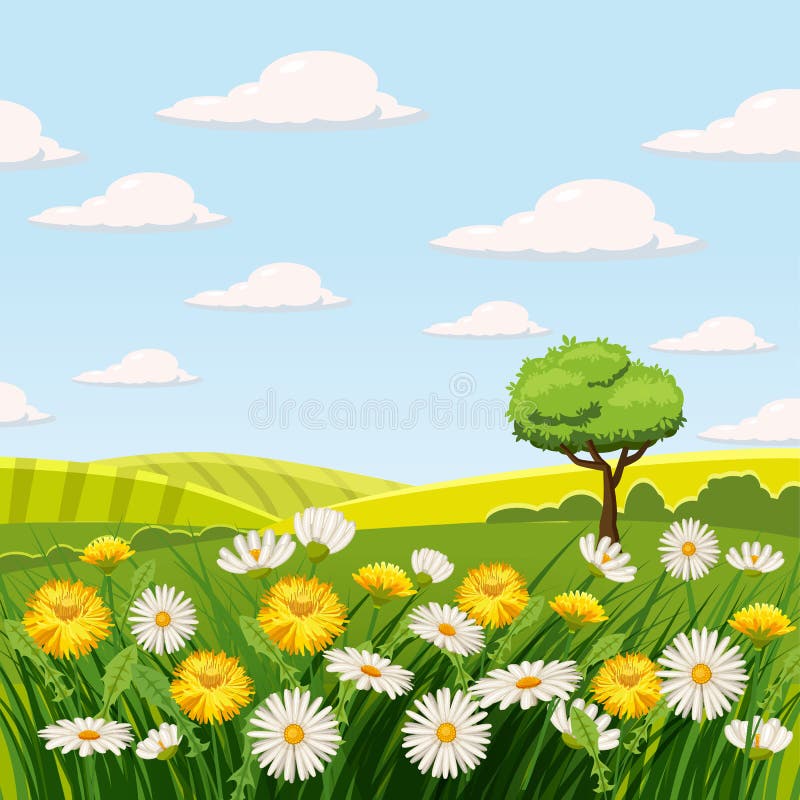 Spring Landscape, Farm, Fields, Meadows, Daisies and Dandelions Stock ...