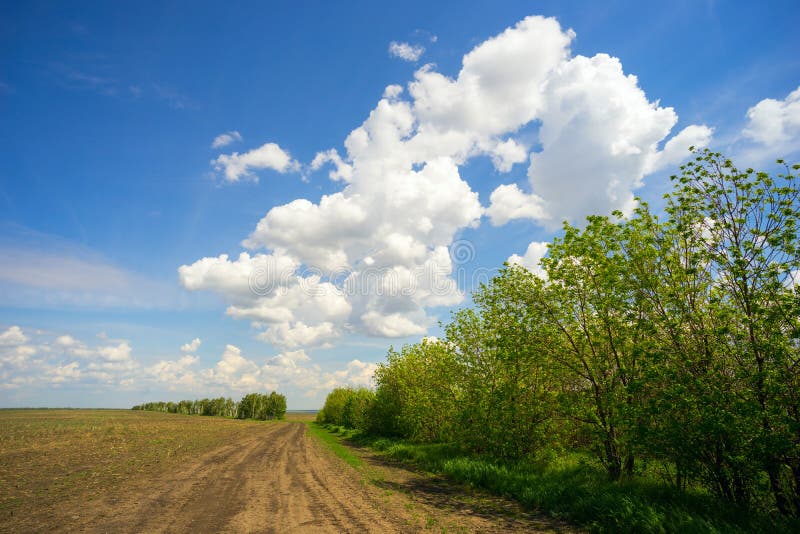 Spring Landscape in Field with Blue Sky . Stock Photo - Image of ...