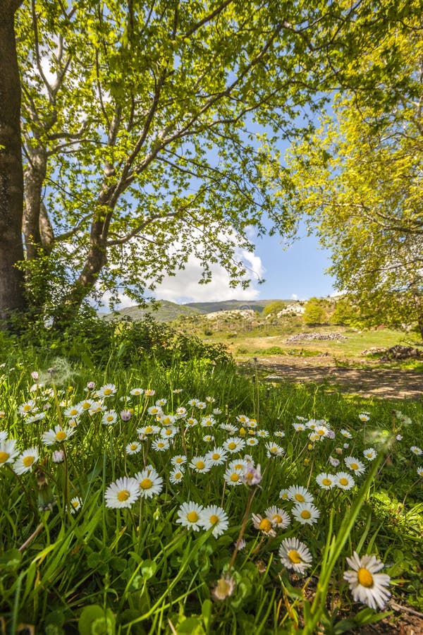 2,973,458 Spring Landscape Stock Photos - Free & Royalty-Free Stock ...