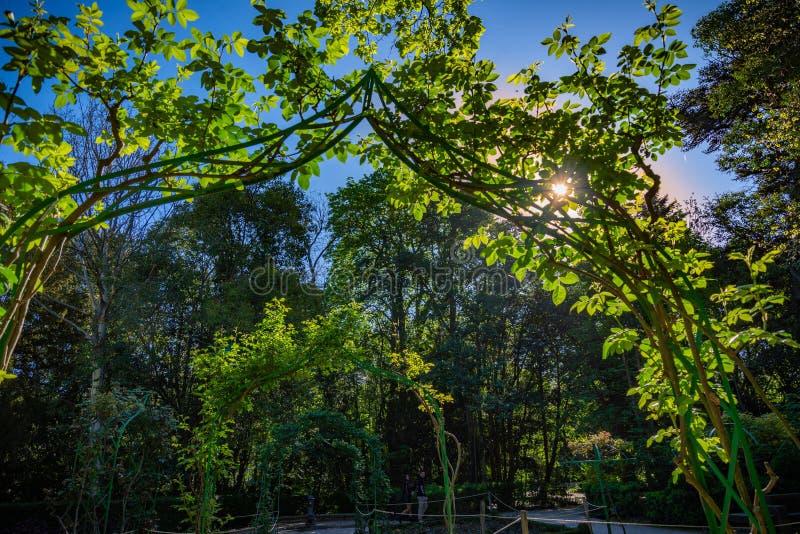 Panoramic View of Green Field with Trees Stock Photo - Image of autumn ...
