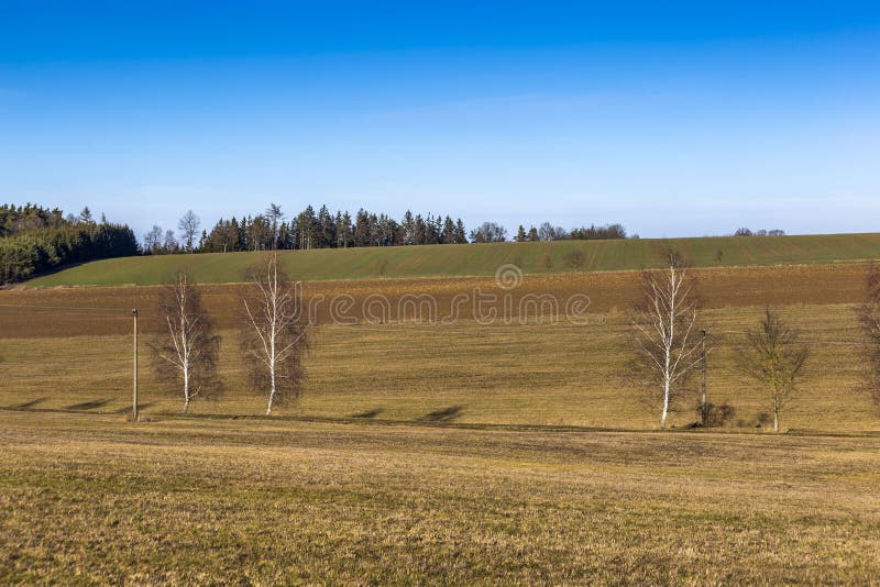 Spring Landscape. Field with Grass and Blue Sky Stock Photo - Image of ...