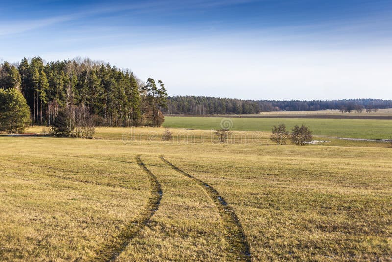 Spring Landscape. Field with Grass and Blue Sky Stock Photo - Image of ...