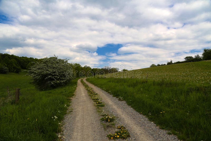 Spring Landscape. Field Road among Meadows and Fields Stock Image ...