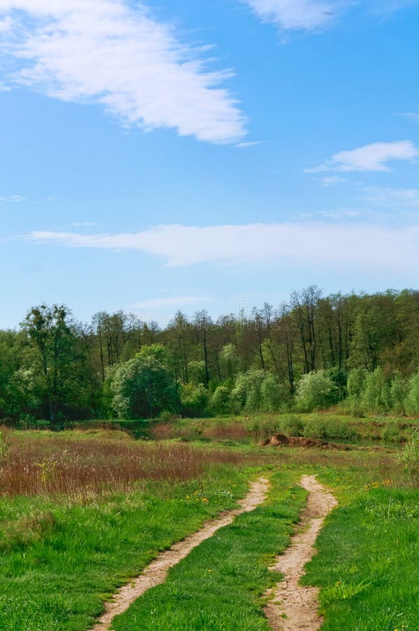 Spring Landscape Field, Field Road, Trees and Path in the Field Stock ...