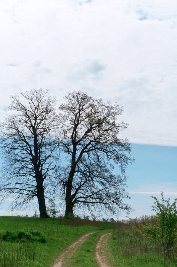 Spring Landscape Field, Field Road, Trees and Path in the Field Stock ...