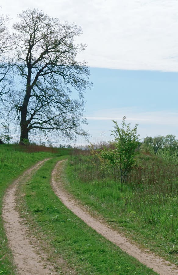 Spring Landscape Field, Field Road, Trees and Path in the Field Stock ...