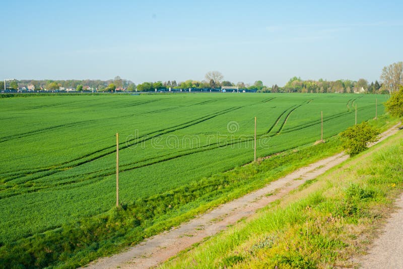 Spring Landscape of Fields in Germany, Field Road Leading into the ...