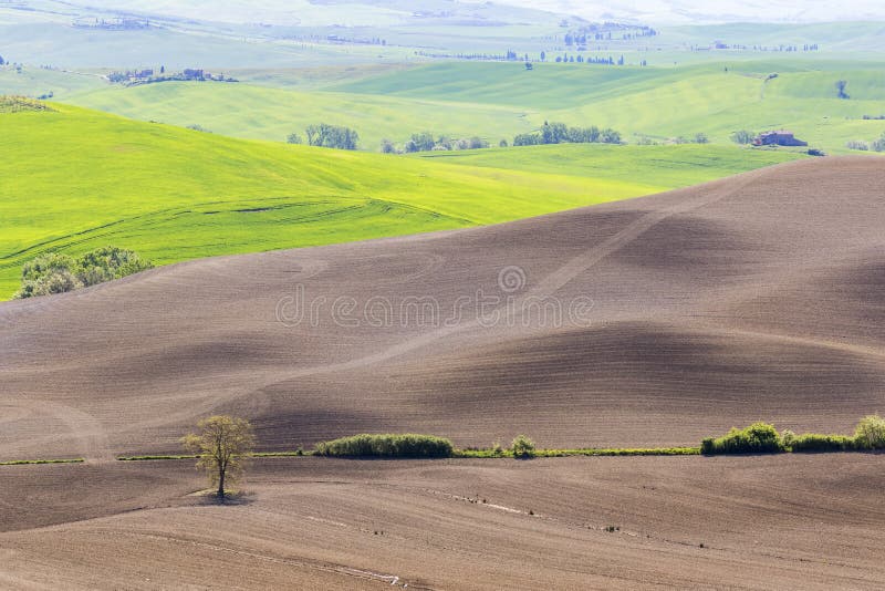 Spring landscape stock image. Image of environment, agricultural - 83207619