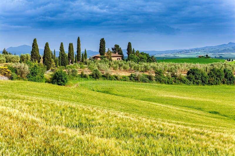 Spring Landscape of Fields Tuscany Stock Image - Image of olive, meadow ...