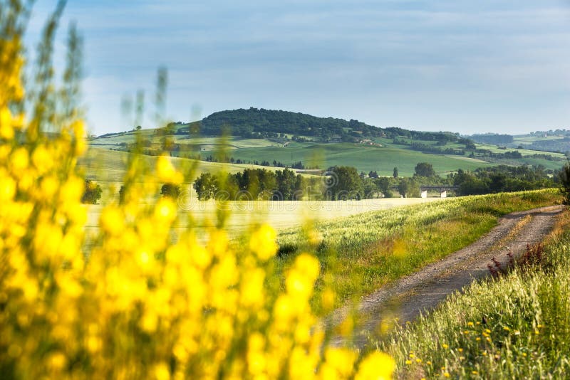 Spring Landscape of Fields Tuscany, Italy Stock Image - Image of field ...