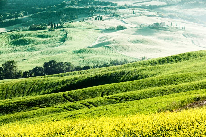 Spring Landscape of Fields Tuscany, Italy Stock Image - Image of green ...