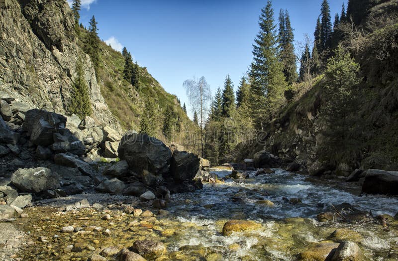 Spring Landscape in the Mountain Forest. Stock Image - Image of trees ...