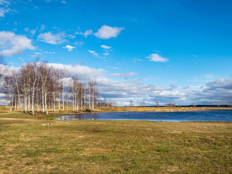 The First Greenery in the Garden in Early Spring Stock Image - Image of ...