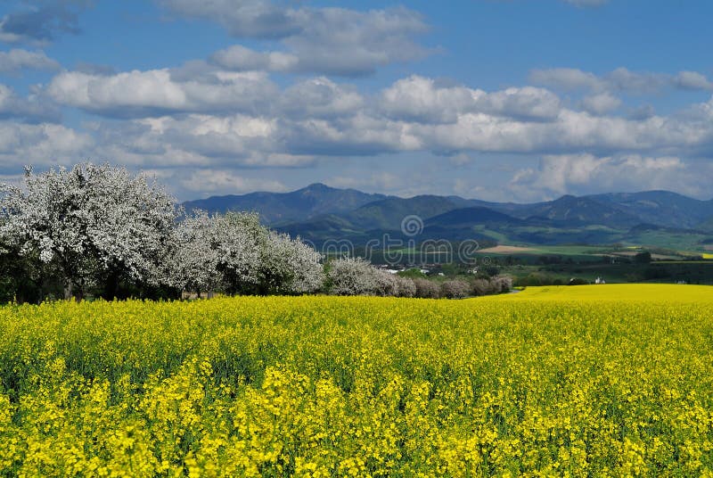 Spring stock photo. Image of mountains, nature, specific - 40174882
